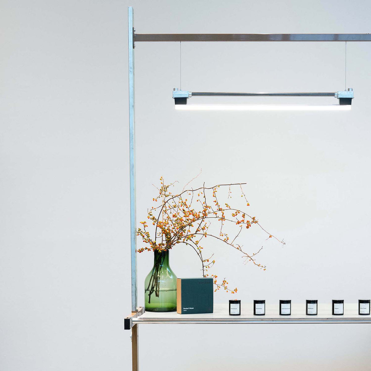 Linestra Light — SHOP PARKER
